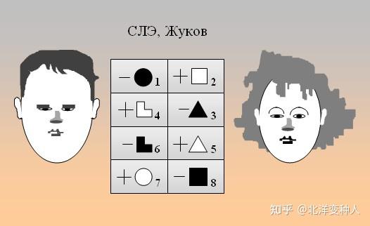 【Socionics】Stratievskaya网站上的类型面相画像 - 知乎