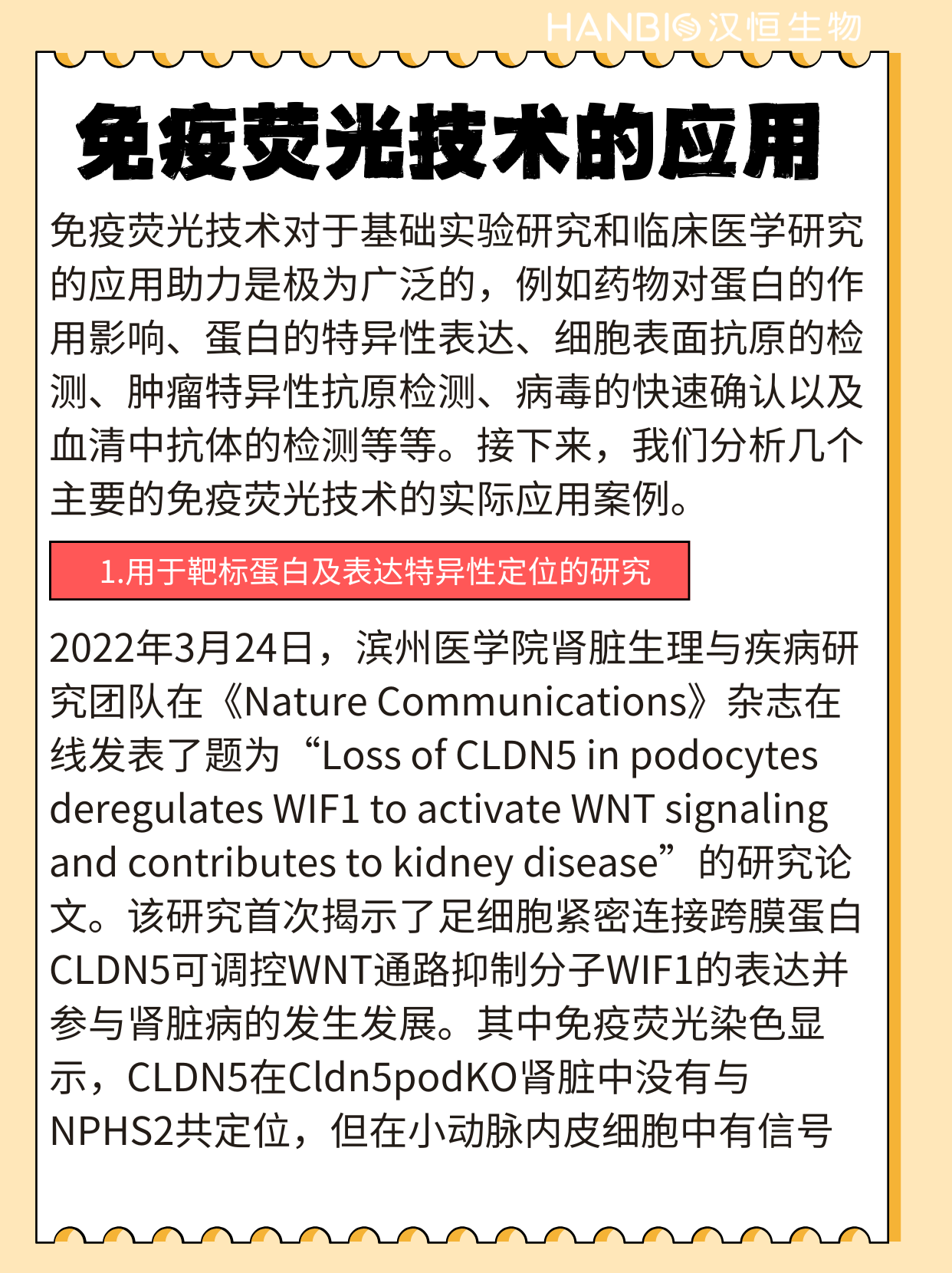 细胞功能实验篇 免疫荧光实验 知乎