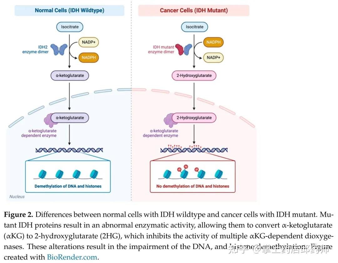 艾伏尼布（Ivosidenib）治疗IDH1突变晚期胆管癌（CCA）的临床效果及研究进展！ - 知乎