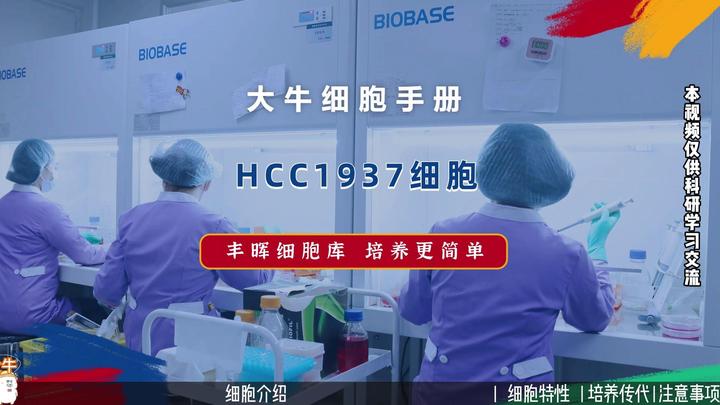 HCC1937细胞培养， 人乳腺癌细胞培养攻略 - 丰晖生物 - 知乎
