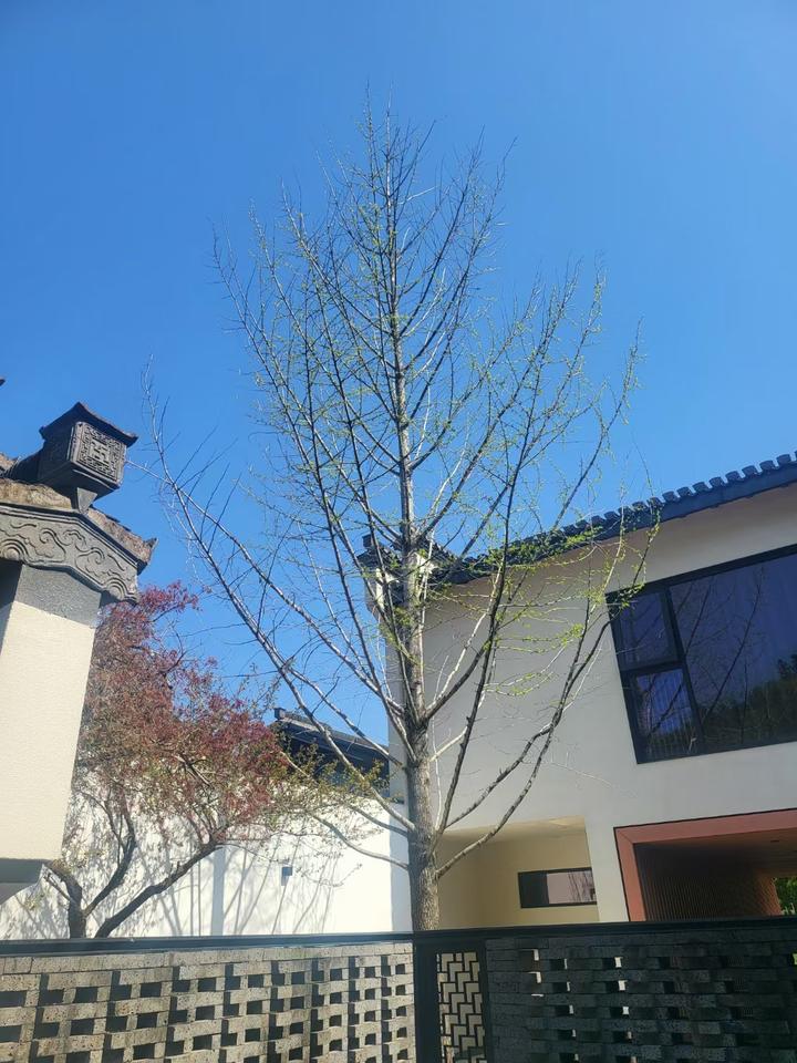 Vue开发记录,vuex相关 知乎