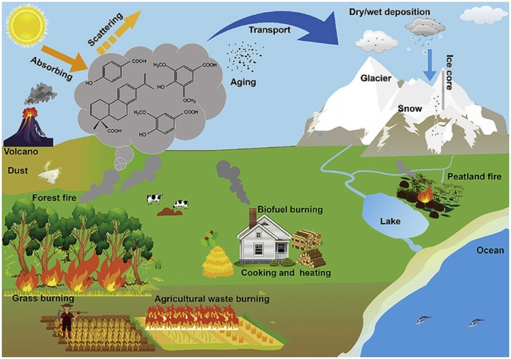 PMF源解析——实操教学及实验设计与项目应用 - 知乎