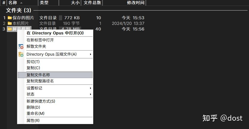 Directory Opus 配置记录与分享 - 知乎