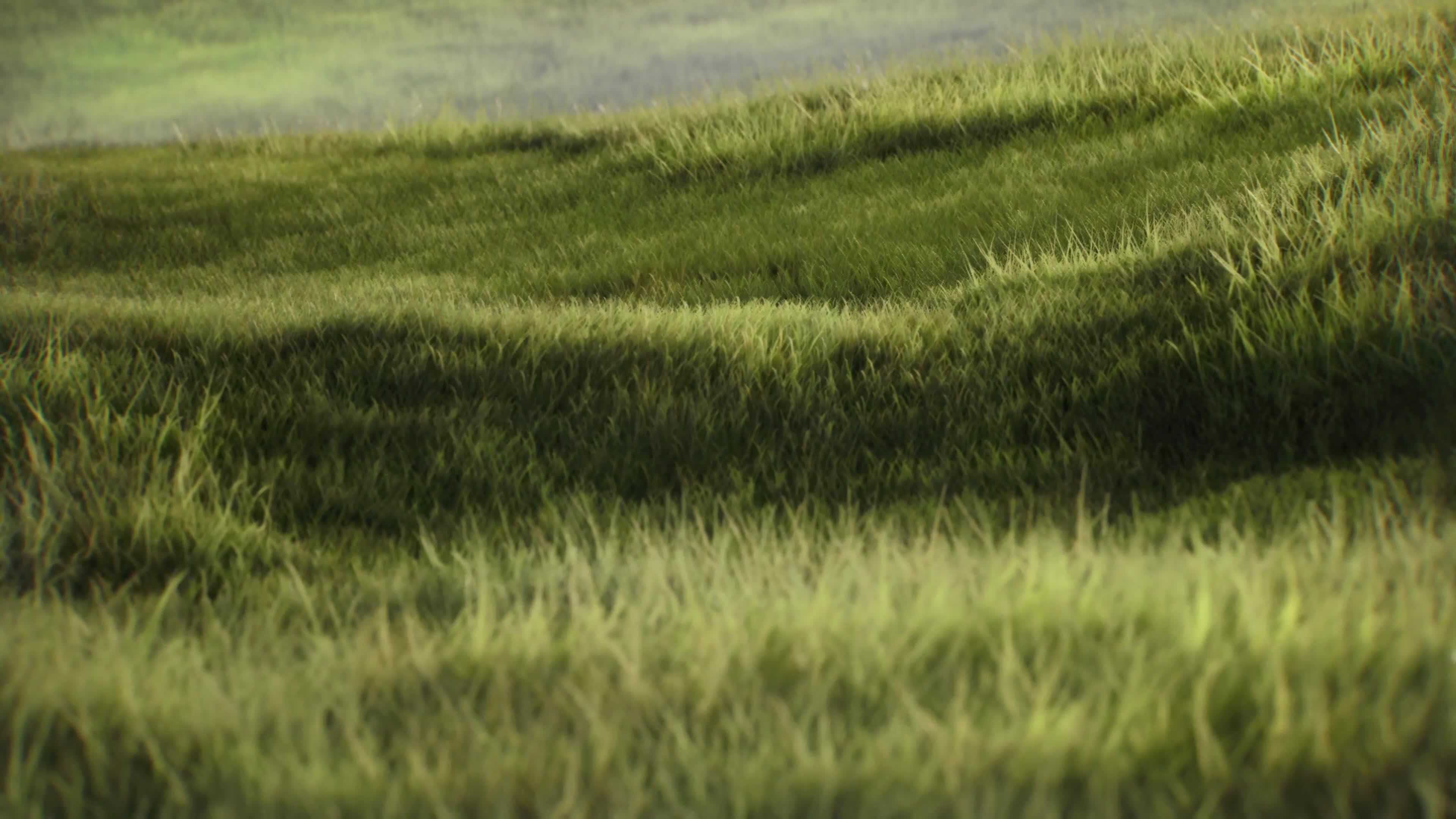 TA实践分享：材质与渲染——植物与风(Unity+UE） - 知乎