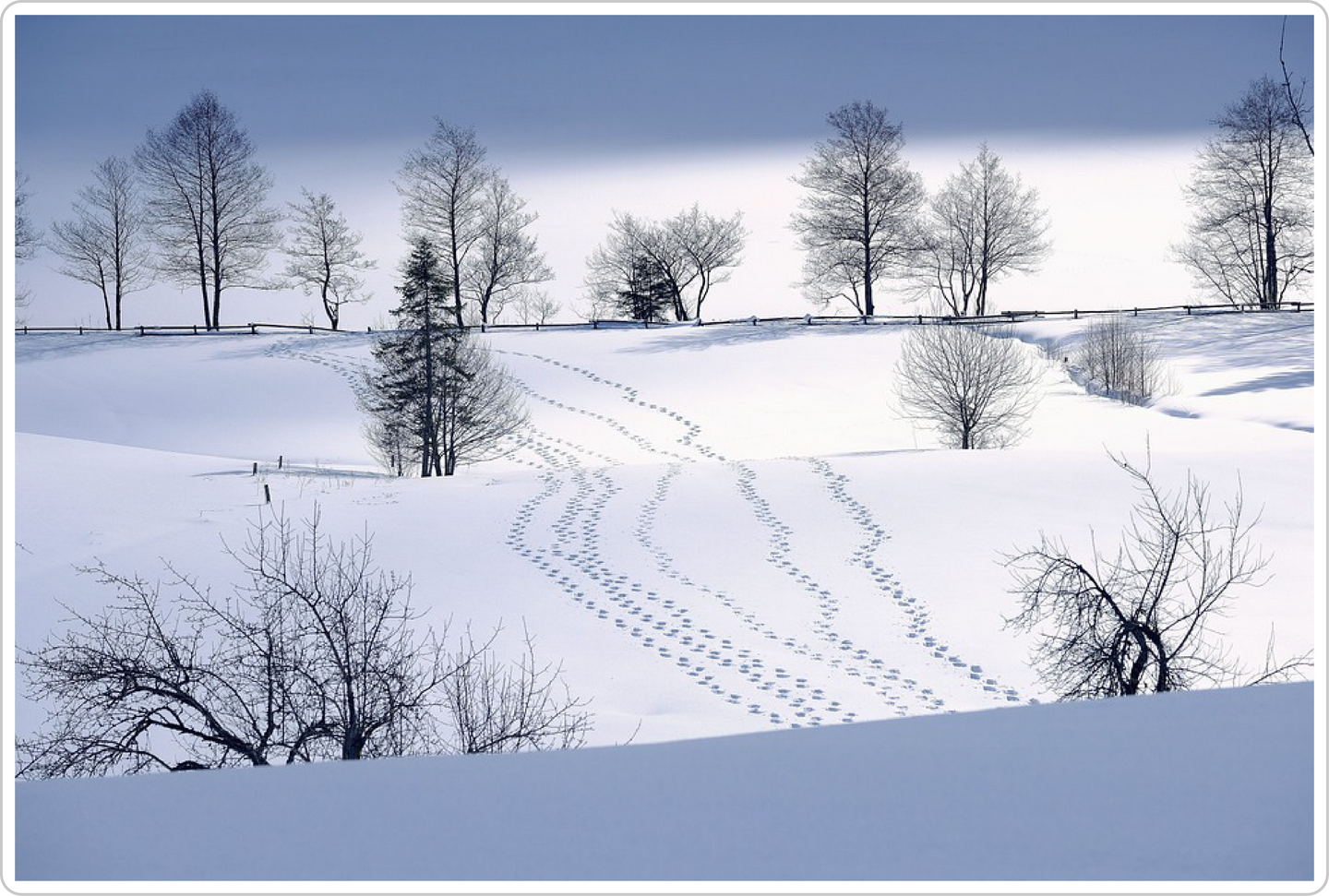 发现了一个神仙插件：DITA无缝衔接Bootstrap，还能使用那么多精美的主题模板 - 知乎