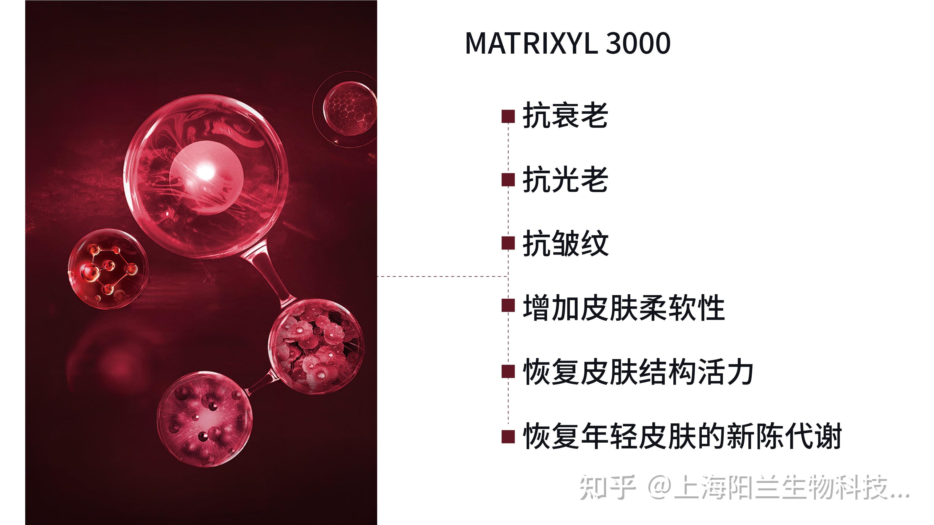 经典抗衰复合肽：MATRIXYL 3000 - 知乎