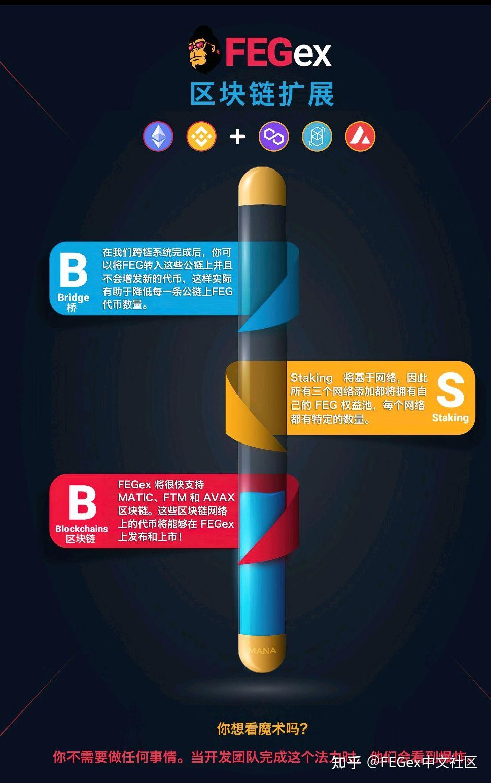 你可能不知道的FEG - 知乎