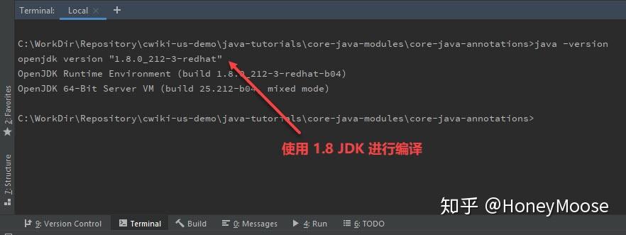 Java 编译错误 java.lang.ExceptionInInitializer - 知乎