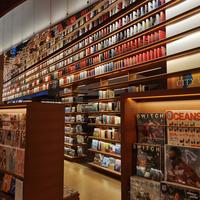 IR-808靶向肿瘤近红外荧光染料;光敏剂IR808 - 知乎