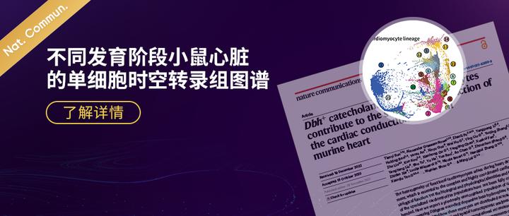 Nat. Commun. | Stereo-seq助力绘制不同发育阶段小鼠心脏的单细胞时空图谱 - 知乎