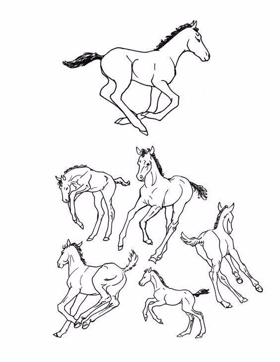 零基础学画画：2000个简笔画，快来收藏 - 知乎