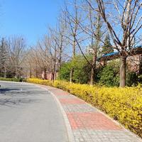 Python DataFrame切片、提数据、按条件筛选详解（df[]、loc[]、iloc[]、at[]、iat[]） - 知乎