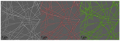 ImageJ实用教程汇总 - 知乎