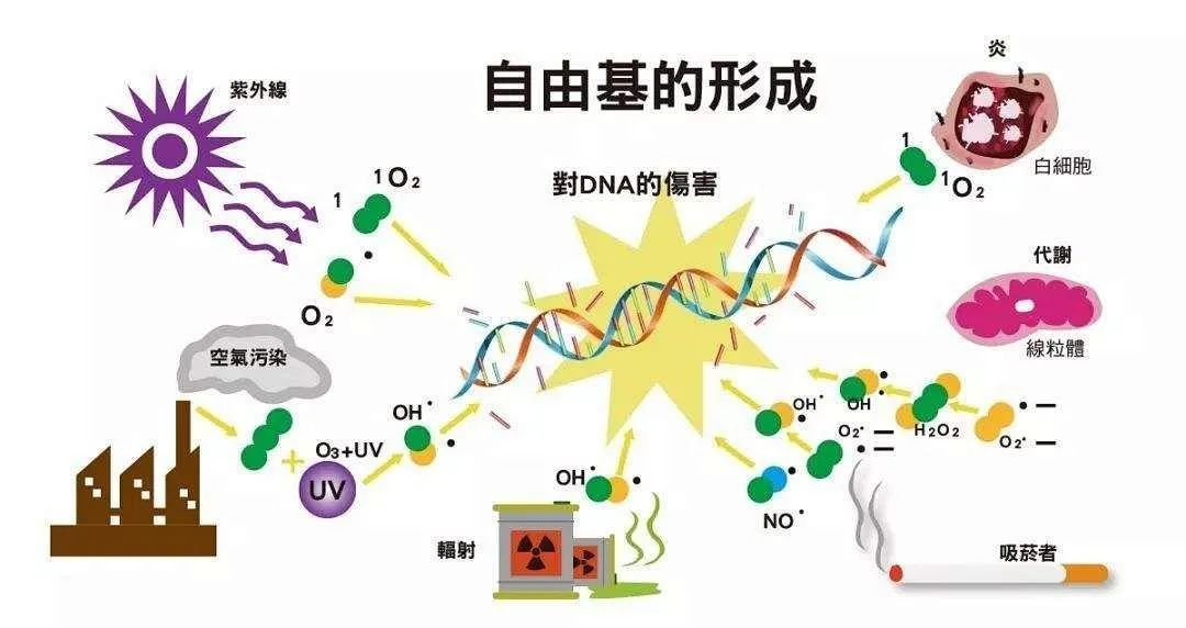 自由基是怎么产生的? 知乎