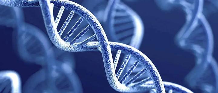 NCB | 全酶、无损的甲基化测序新方法“DM-Seq”，可以单碱基分辨率直接测序5mC - 知乎