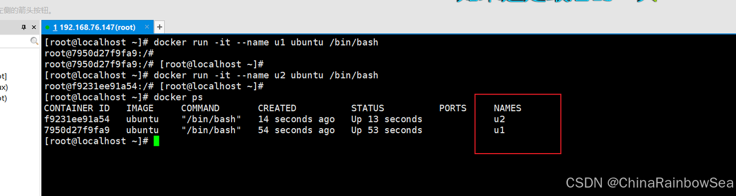 12. Docker 网络(bridge，host，none，container，自定义网络)配置操作详解 - 知乎
