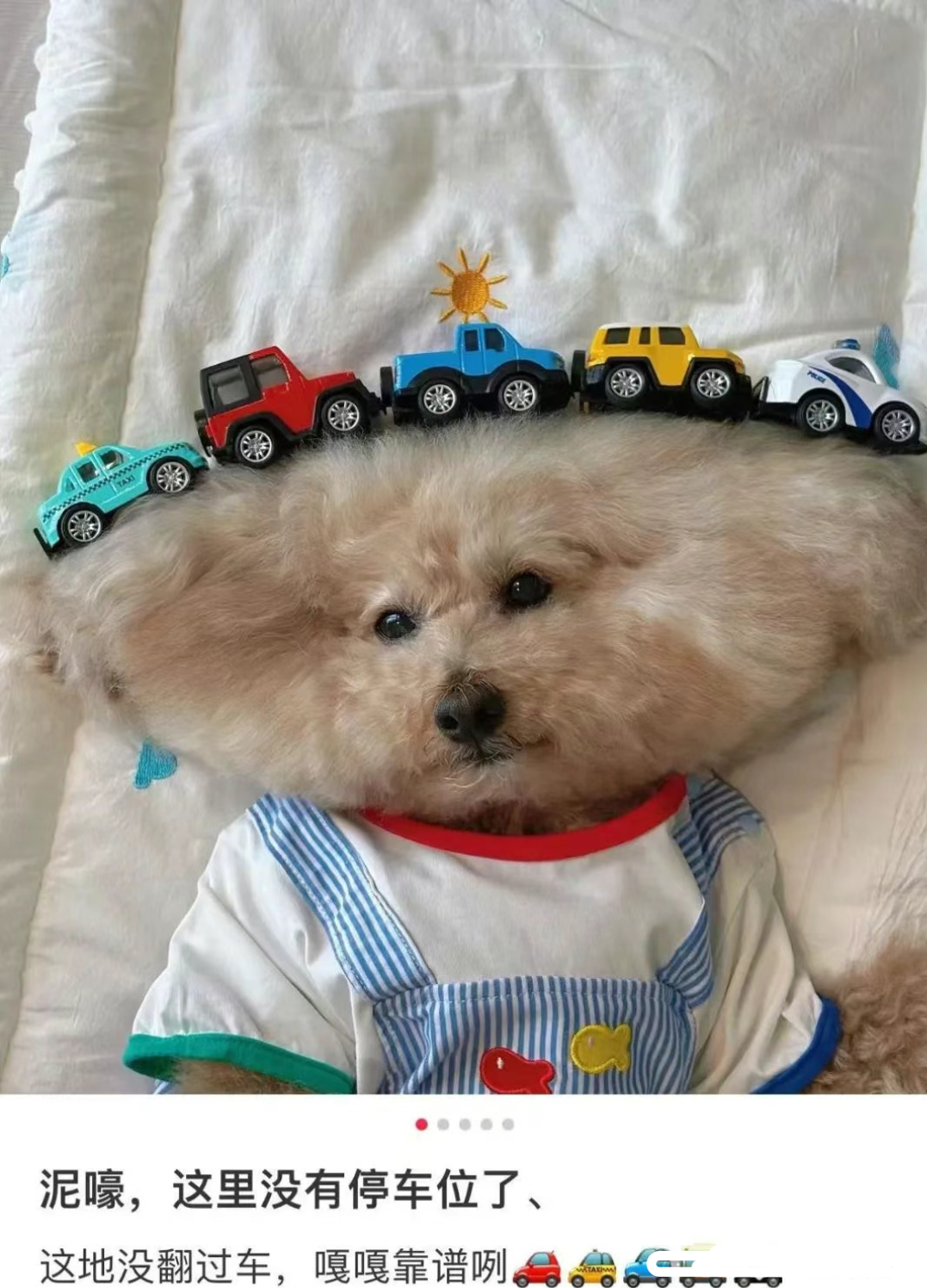 2025年最新搞笑段子，好笑吗？ - 知乎