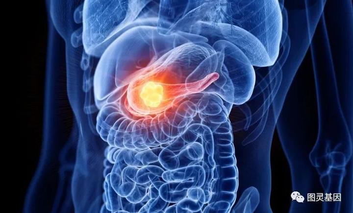 Nat Comm | Salk研究所发现HDACi调节成纤维细胞治疗癌症 - 知乎