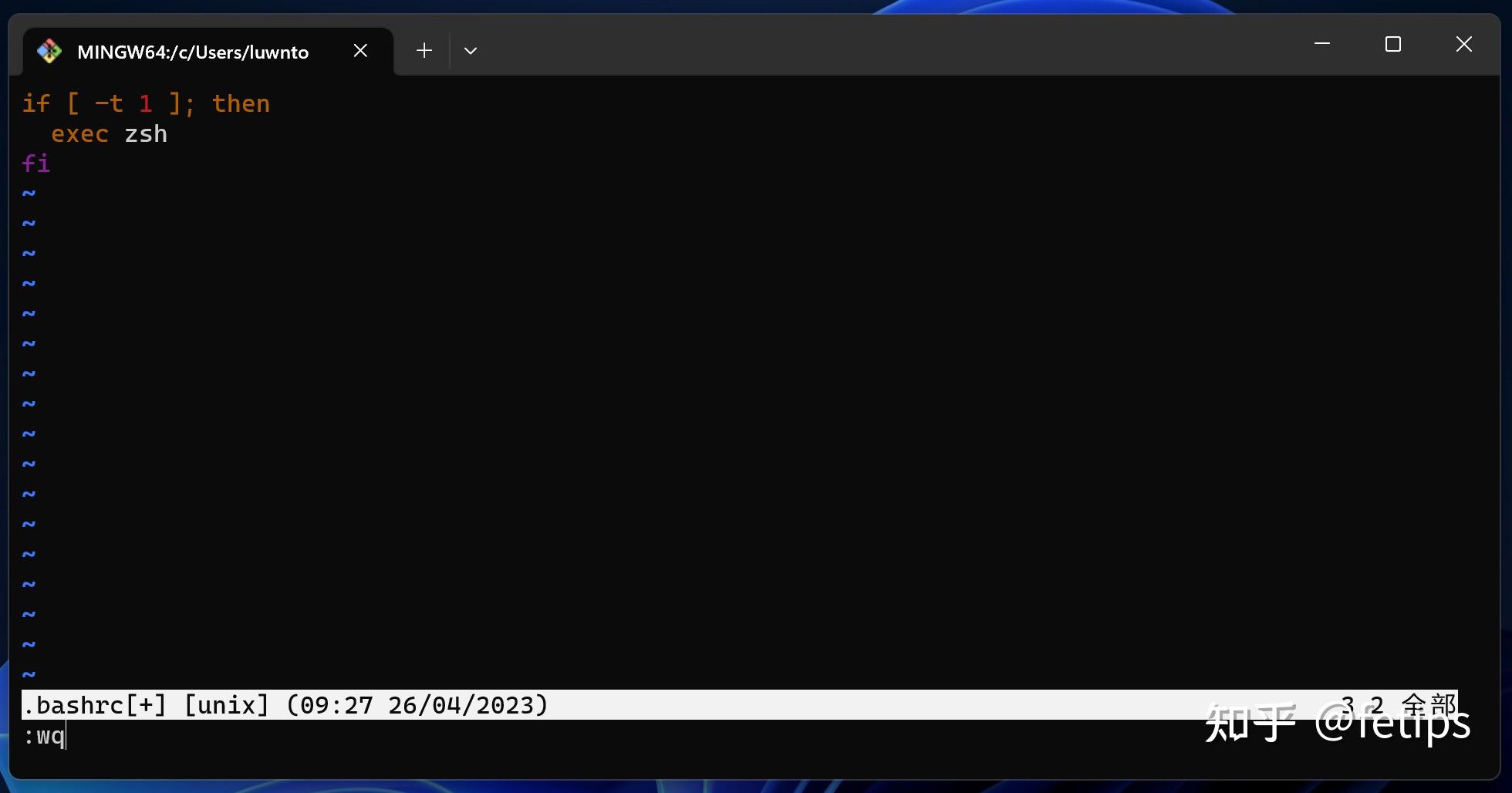 Windows安装Zsh终端 - 知乎