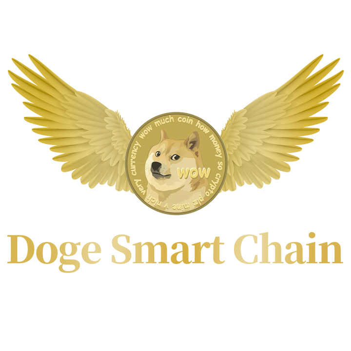 深度文章：Doge Smart Chain代币DSC比VDS优秀的几大原因罗列 - 知乎