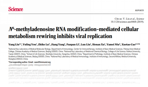 Science| m6A RNA修饰介导的细胞代谢抑制病毒复制 - 知乎