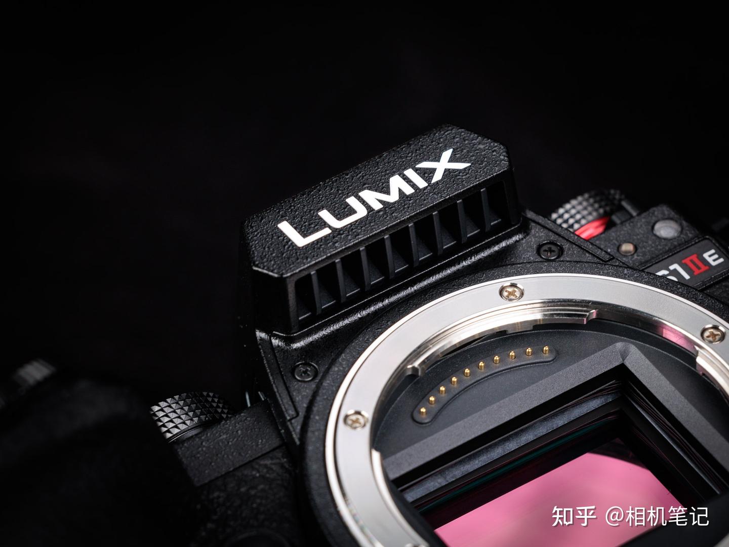 松下S1M2拍鸟实战 & S1二代选购建议 - 知乎