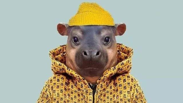 ANSA零基础第一弹——GUI - 知乎