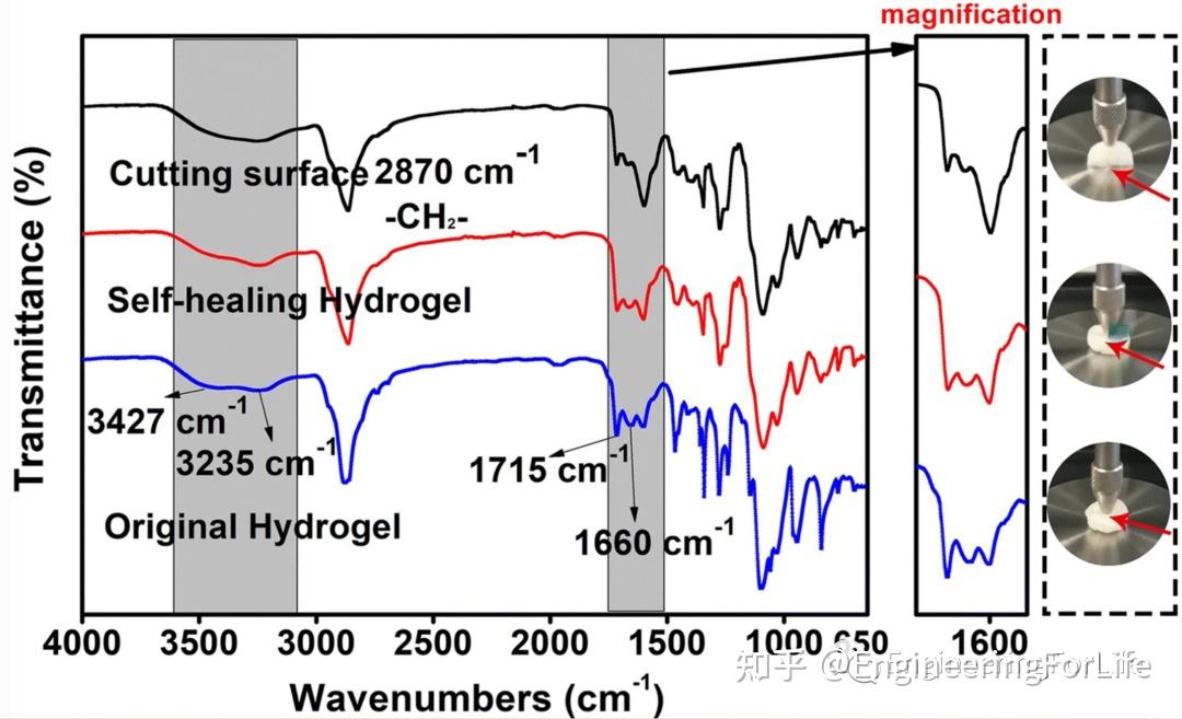 核磁、红外、紫外……水凝胶化学结构表征方法你了解多少？ 知乎
