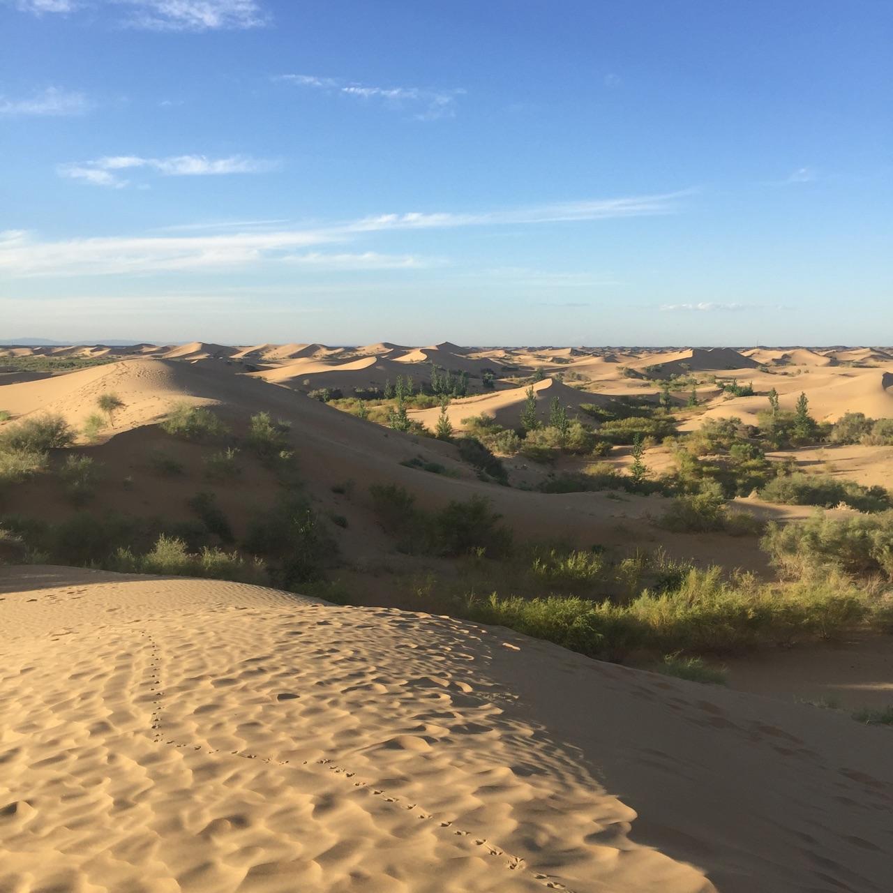 去鄂尔多斯旅游好玩吗？ - 知乎