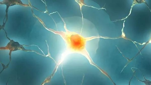 Nat Cell Bio | 单细胞图谱揭示肝细胞发育分化路径 - 知乎