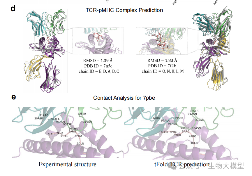 AI大模型赋能免疫系统研究：腾讯推出tFold-TCR，实现T细胞受体-抗原复合物的快速精准建模 - 知乎
