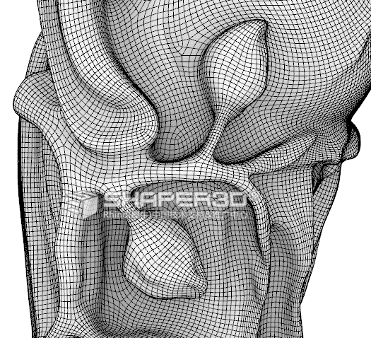 Rhino 7 WIP 网格神算-QuadRemesh - 知乎