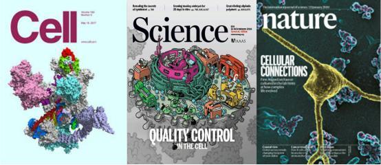 CNS大盘点：2篇Cell、Science、1篇Nature封面，中国学者大爆发！ - 知乎