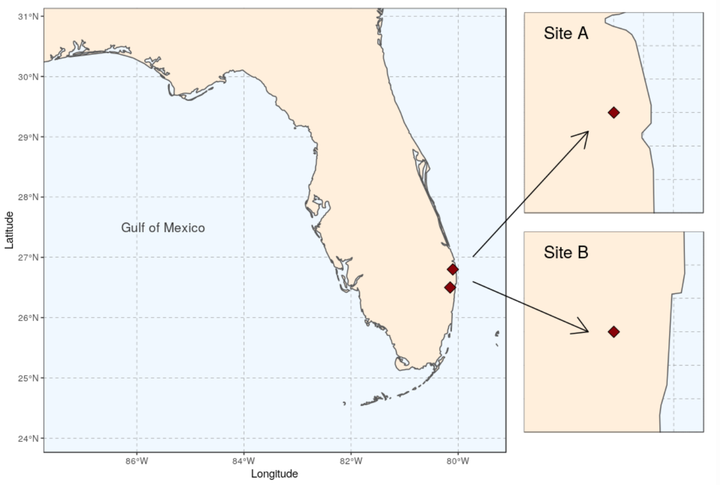 使用 R、sf 和 ggplot2 以编程方式绘制漂亮的地图——第 3 部分：布局 - 知乎