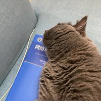 [Proxy] Dante Socks 基本安装配置 - 知乎