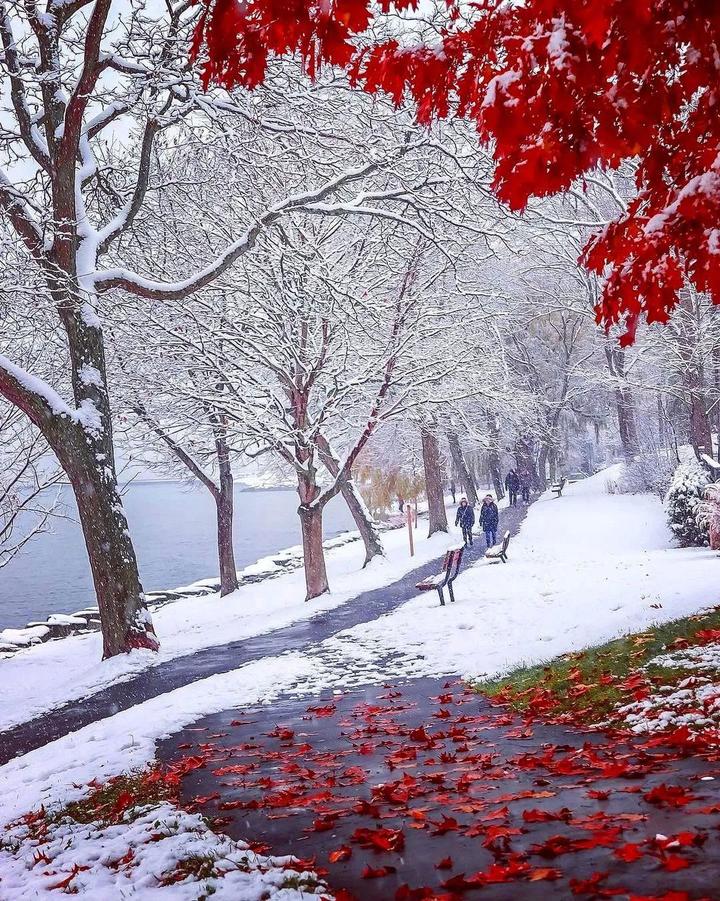 2023-01-09单元法解题类型初步总结 - 知乎