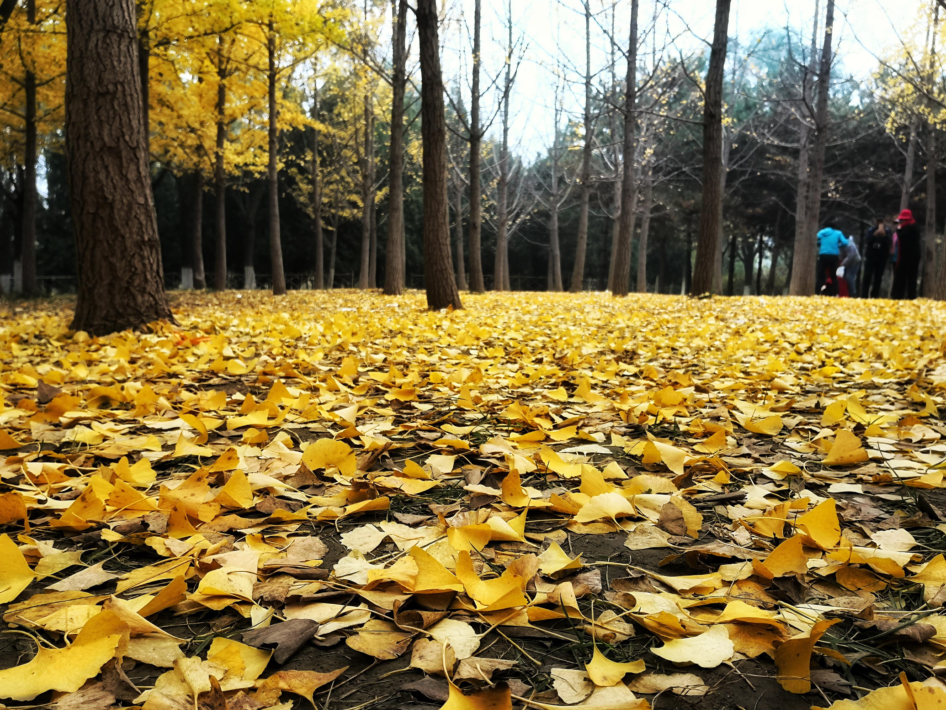 gflags使用详解 - 知乎