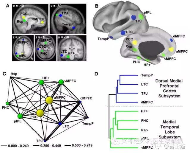 大脑之默认模式 默认网络DMN活动一致性有其结构连接的基础 - 知乎