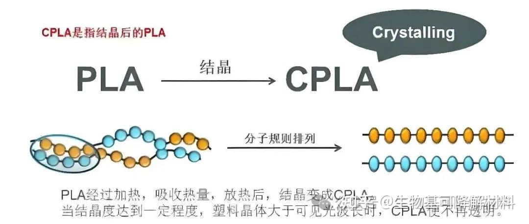 科普丨PLA是聚乳酸，那么CPLA、EPLA、BOPLA、TPLA等又分别是什么呢？ - 知乎