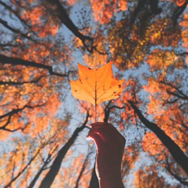 TypeScript 学习笔记 - 知乎