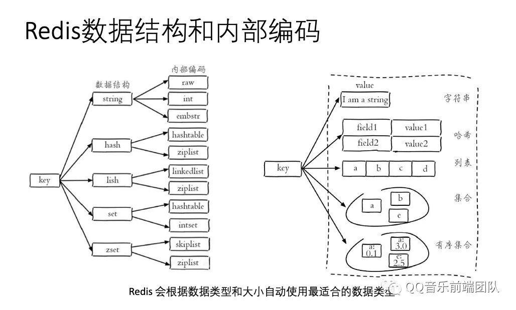 Redis详细入门教程 - 知乎