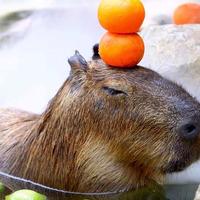 让LLM推理加速的batching是什么技术（in-flight batching） - 知乎