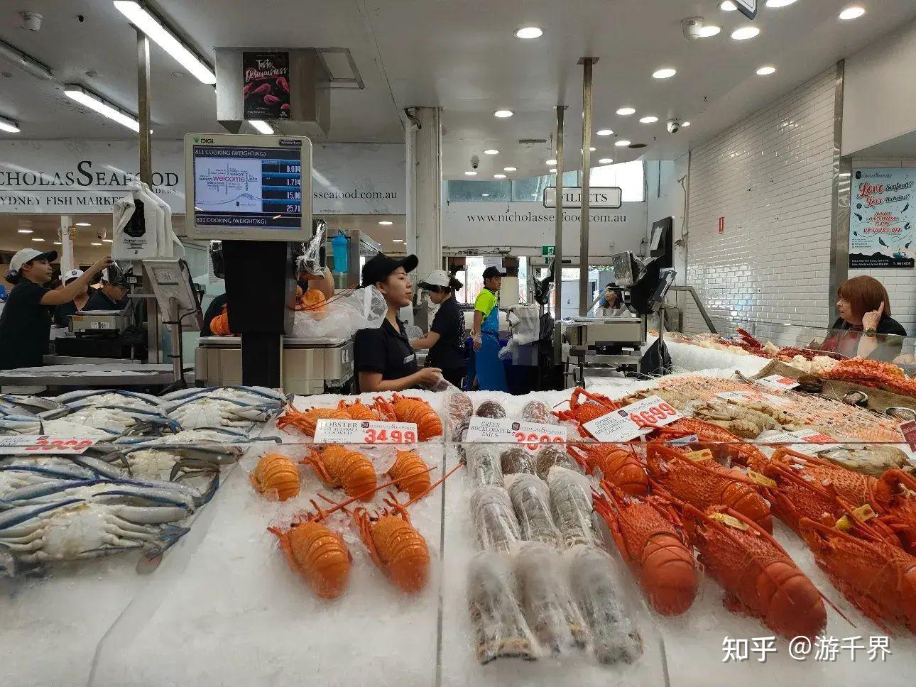 在澳大利亚生活是一种怎么样的经历？ - 知乎