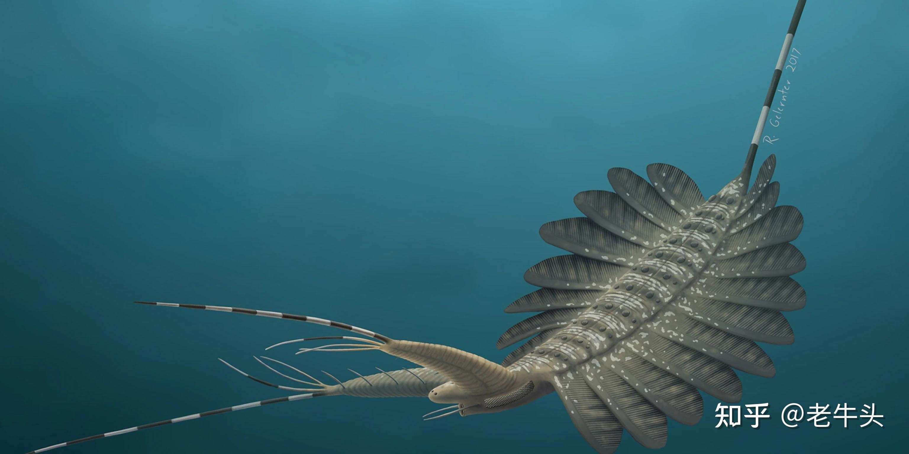 节肢动物，恐虾纲，异虫纲三者之间的演化关系是怎样的？ - 知乎