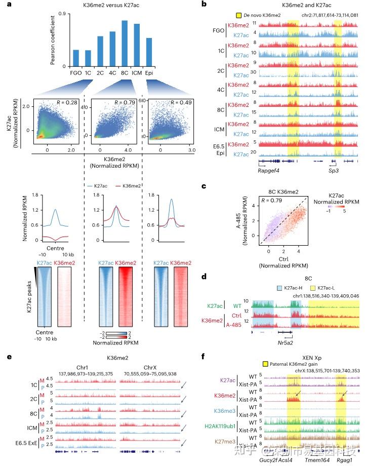 NCB/IF19.1：颉伟/卢绪坤/张宇团队WGBS+ChIP-seq+RNA-seq等揭示早期胚胎发育过程中H3K36me2调控DNA甲基化 ...