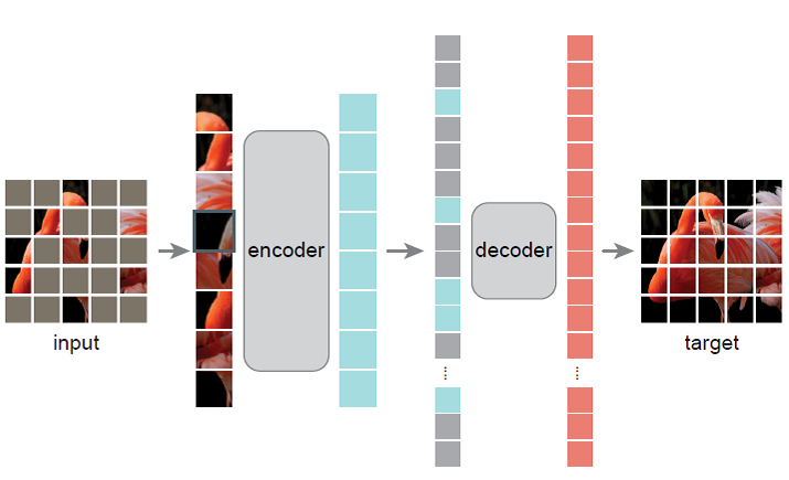 别再无聊地吹捧了，一起来动手实现 MAE(Masked Autoencoders Are Scalable Vision Learners ...