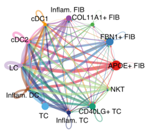 单细胞测序中 CellphoneDB、CellChat细胞通讯分析 两个高级分析有哪些区别呢？ - 知乎