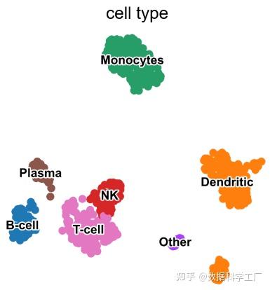单细胞分析: Scanpy 核心绘图 (2) - 知乎