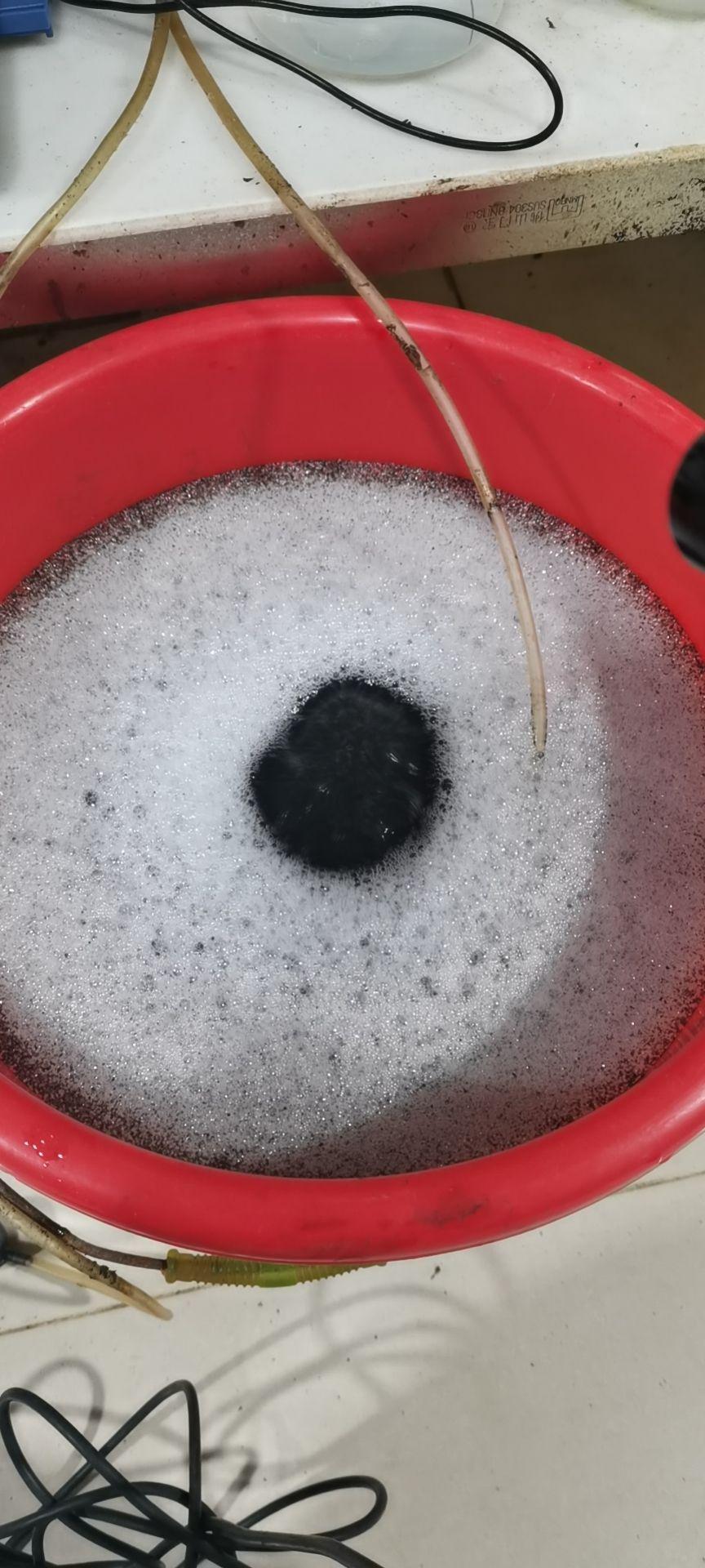 CN比如何计算？COD：TN? - 知乎