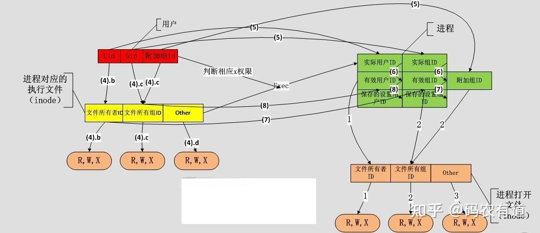 Linux权限中的UID、EUID到底是怎么一回事？ - 知乎